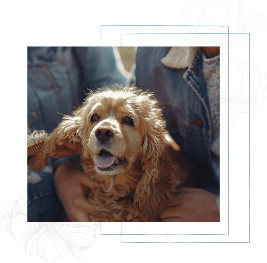 Peaceful Paws Veterinary Services FAQs